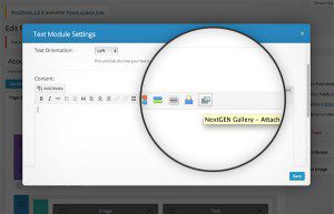 On The Third Day Of Divi, We Unlock The Simple Power Of The Text Module