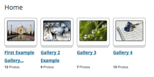 A Comprehensive Overview Of The NextGen Gallery Plugin