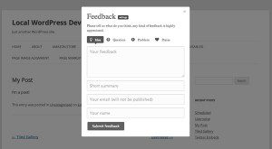 How To Add A Feedback Form To WordPress