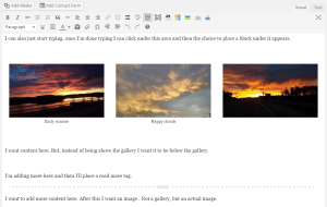A Look At The Upcoming WordPress Front-End Editor