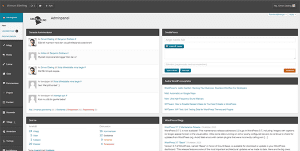Exploring the Possibilities of WordPress Admin Themes