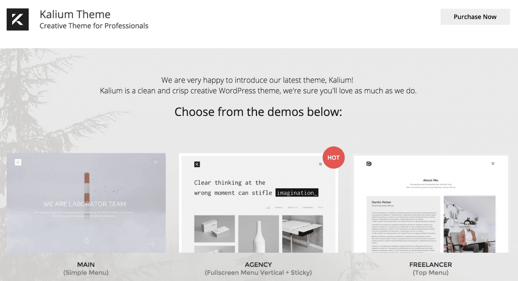 20 High Quality WordPress Themes for Web Designers and Their Clients