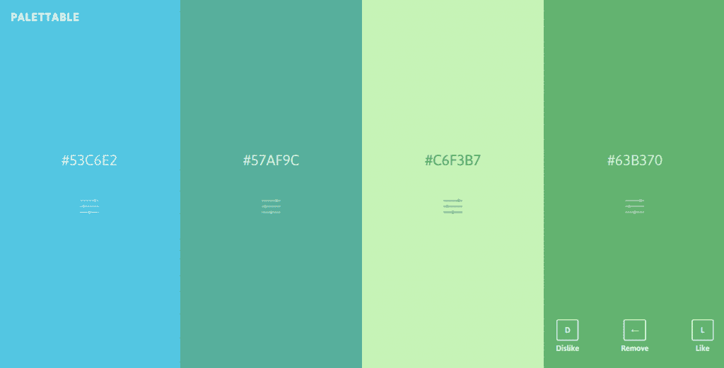 19 Color Palette Generators That Make Web Design Easier