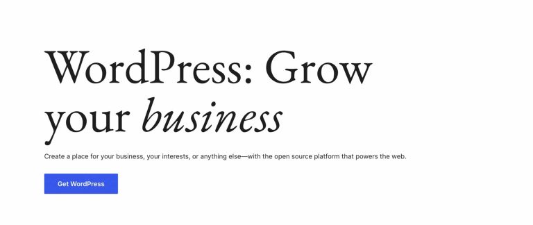 Make Money with WordPress: The Ultimate List of WordPress Business Ideas