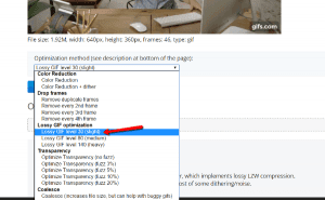 How to Compress Gifs to Make Uploading Them to WordPress Easier