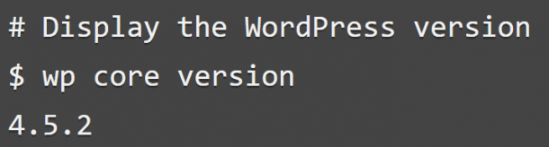WordPress Command Line: Everything You Need to Know