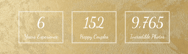 An Introduction to the Divi Number Counter Module (and How to Style It)