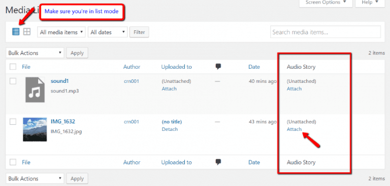 Use the New (Free) Audio Story Images Plugin to Add Audio to Your ...