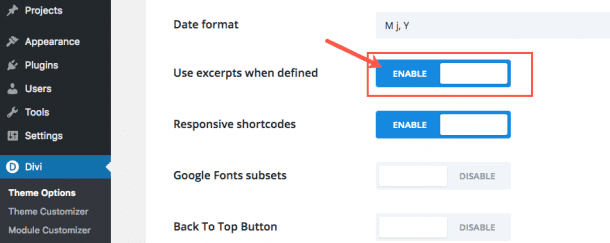 Changing The Length of Your Divi Blog Post Excerpts