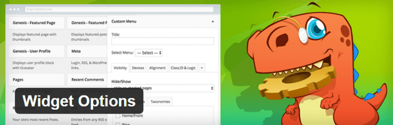 How to Gain More Control Over Your Widgets with Widget Options