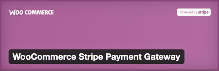 How to Accept Stripe Payments on Your WordPress Website