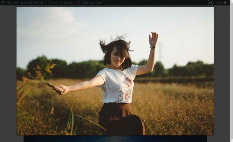 The Ultimate Guide to Using Images within Divi