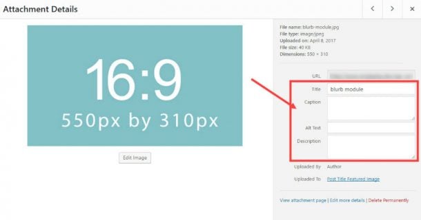 The Ultimate Guide to Using Images within Divi