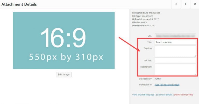 The Ultimate Guide to Using Images within Divi