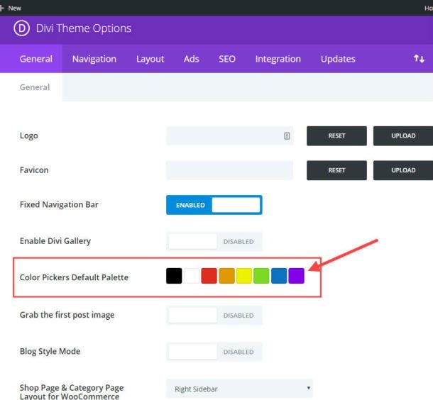 25 "Hidden" Divi Features to Boost Productivity and Design