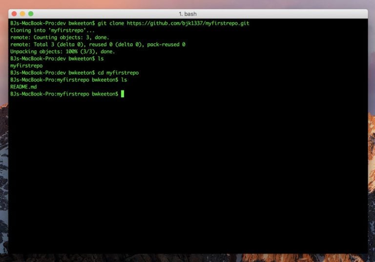 Git and Github: A Beginner's Guide for Complete Newbies