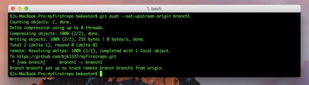 Git and Github: A Beginner's Guide for Complete Newbies
