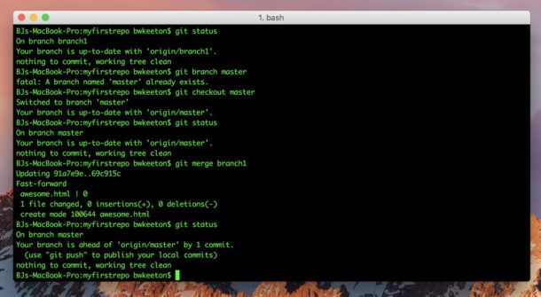 Git and Github: A Beginner's Guide for Complete Newbies