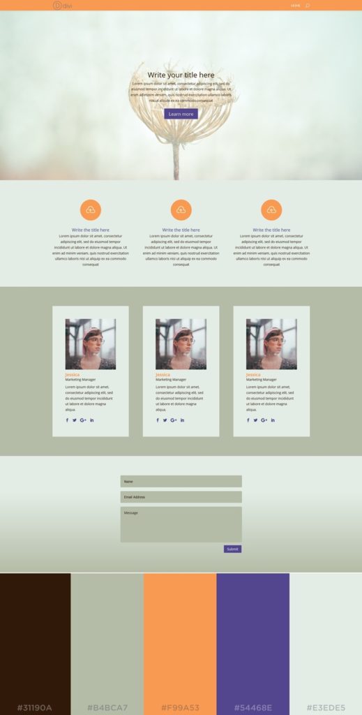 How to Apply Color Palettes to Your Divi Website (20 examples!)
