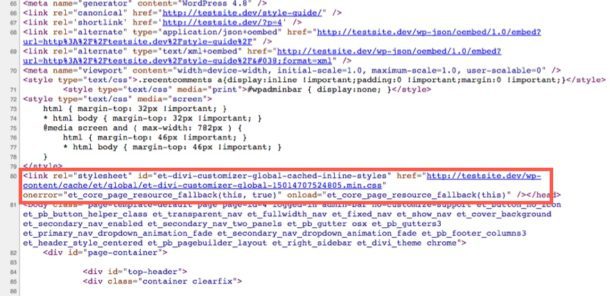 The Ultimate Guide to the Divi Theme Customizer