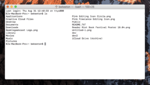15+ Command Line Prompts that are Useful for WordPress Users