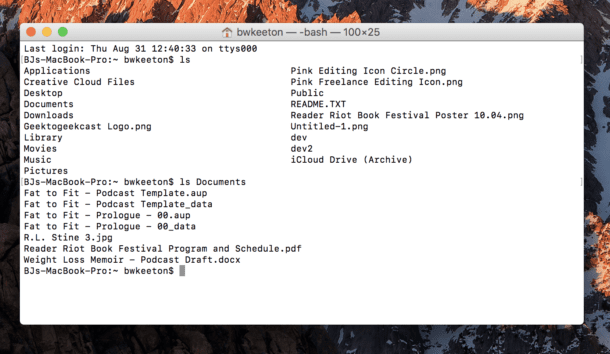 15+ Command Line Prompts that are Useful for WordPress Users
