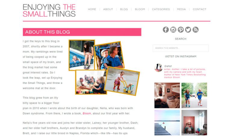 15 Examples of Mom Blogs Built with Wordpress