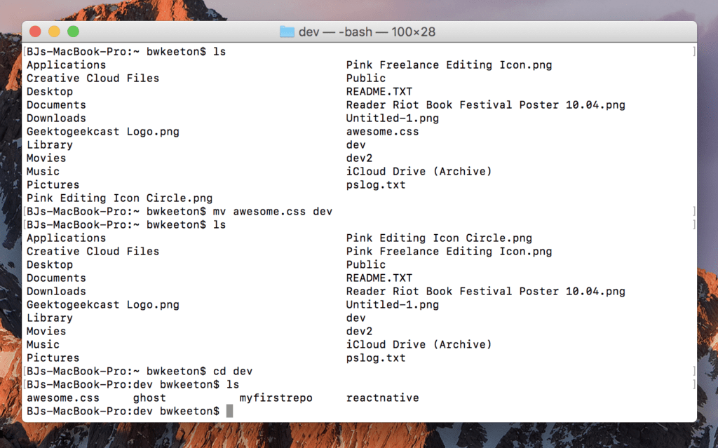 15+ Command Line Prompts that are Useful for WordPress Users