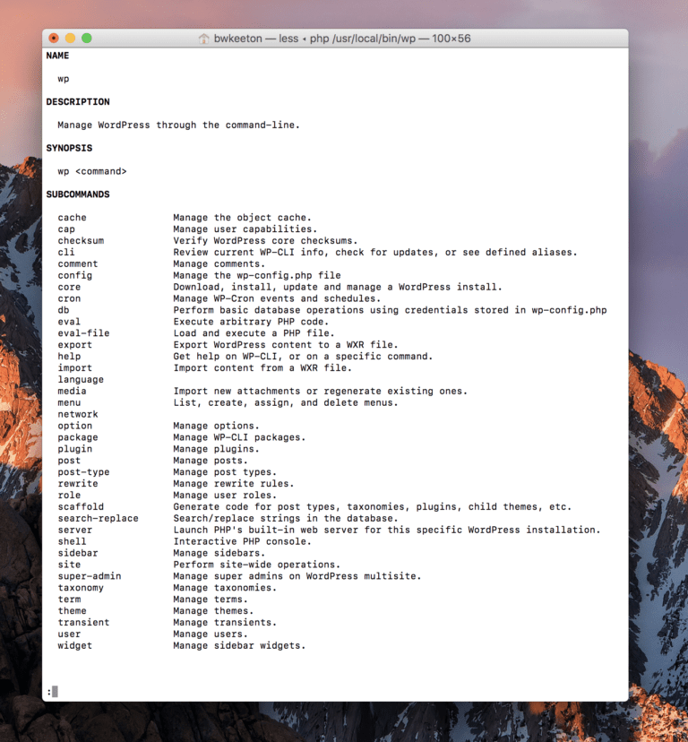 15+ Command Line Prompts that are Useful for WordPress Users