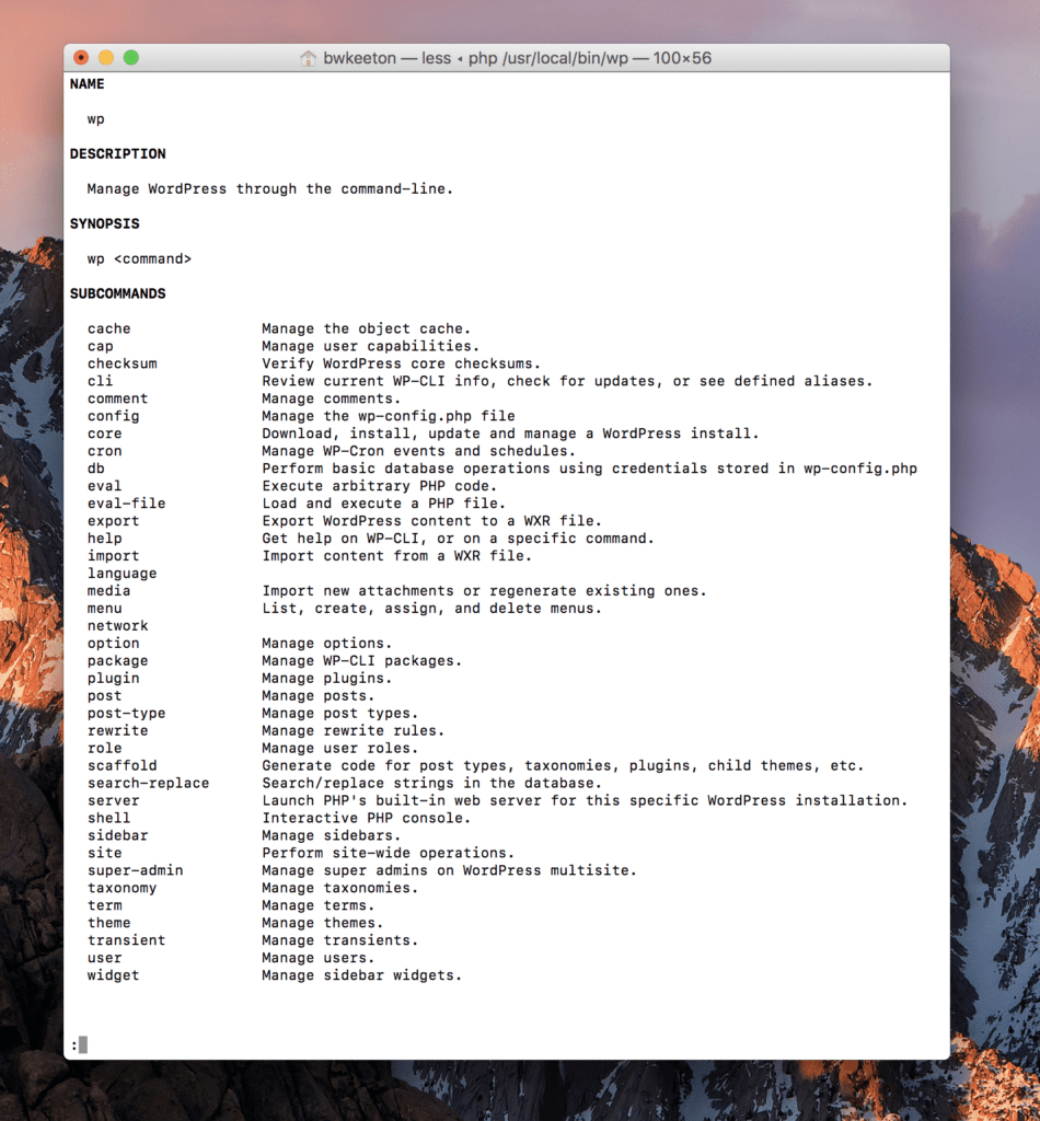 15+ Command Line Prompts that are Useful for WordPress Users