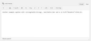 How to Create Good Captions for Pictures on Your WordPress Website