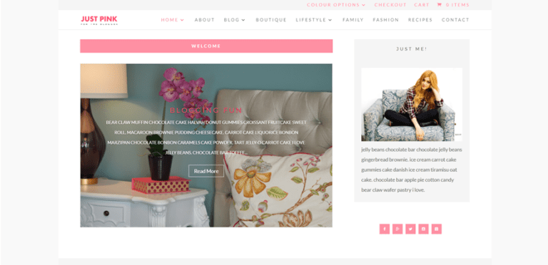 12 Cute Themes for WordPress Users