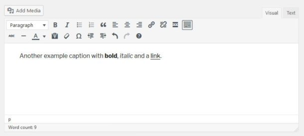 How to Create Good Captions for Pictures on Your WordPress Website