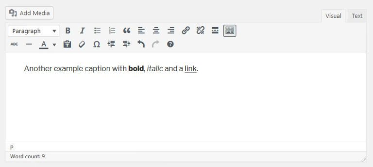 How to Create Good Captions for Pictures on Your WordPress Website