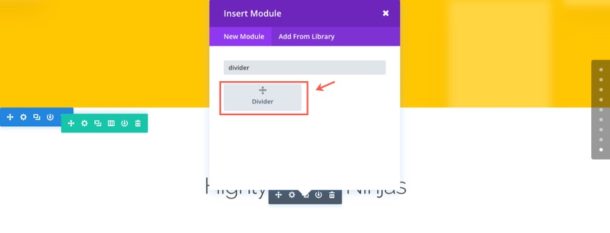 Using Divi's Animations to Float and Bounce Image