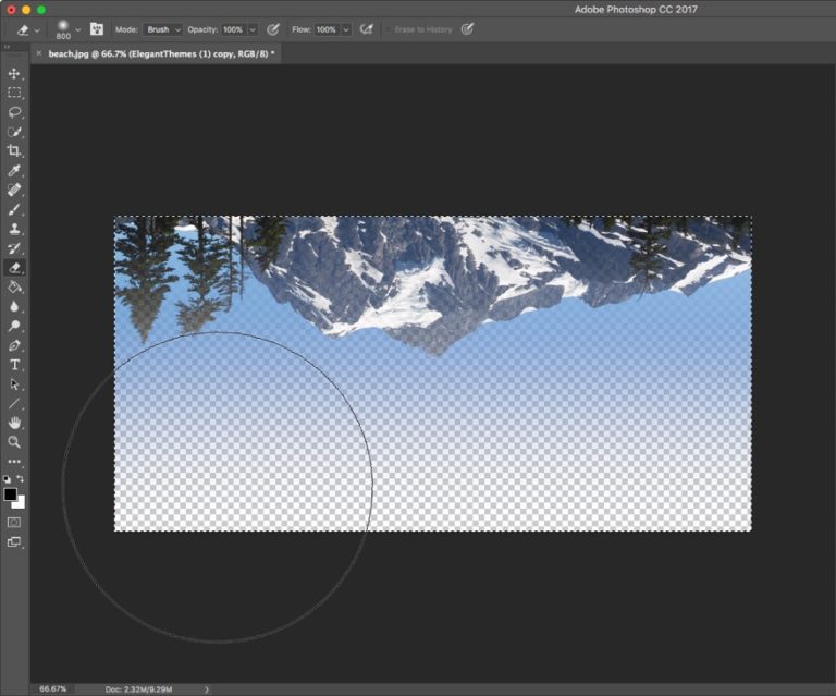 How to Use Divi's New Animation Effects