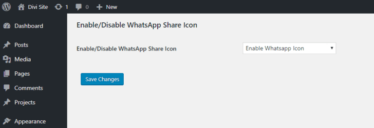How to Integrate WhatsApp into Your WordPress Website
