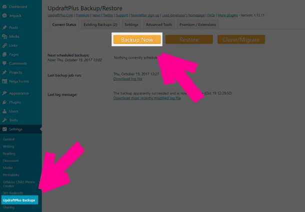 Two Ways to Recover All Your Posts from a WordPress Database