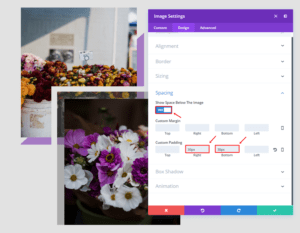 How to Combine Image Background & Box Shadow Options with Divi