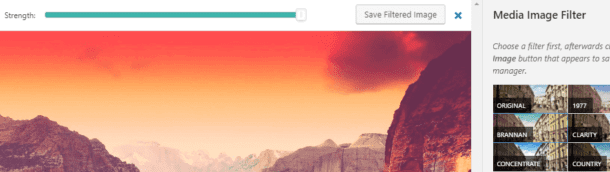 9 WordPress Image Filters You Can Add to Your Website