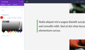 How to Create a Giving Tuesday Landing Page with Divi and GiveWP