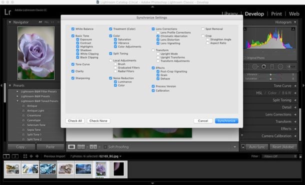 18 Adobe Lightroom Tips and Tricks for Web Designers