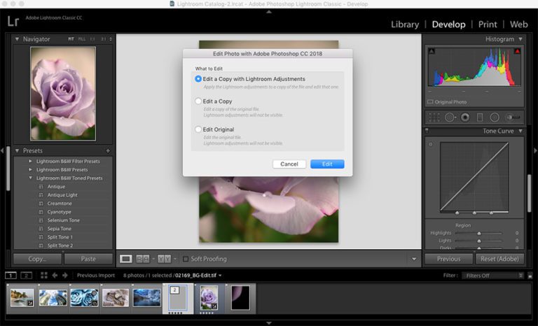 18 Adobe Lightroom Tips and Tricks for Web Designers