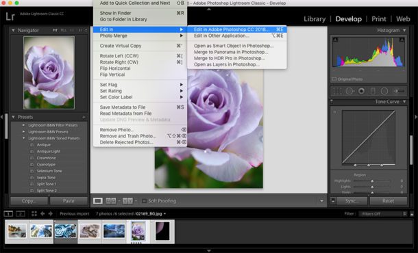 18 Adobe Lightroom Tips and Tricks for Web Designers