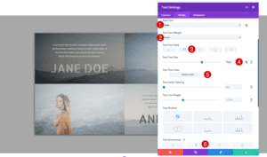 How to Use Divi's New Opacity Filter Option to Create a Stunning Team ...