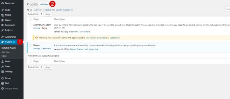How to Add an E-book Optin Form with an Immediate Download to Divi's ...