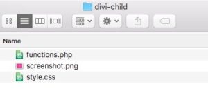 Ultimate Guide to Creating a Divi Child Theme