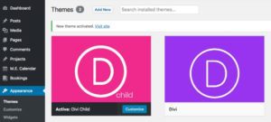 Ultimate Guide to Creating a Divi Child Theme