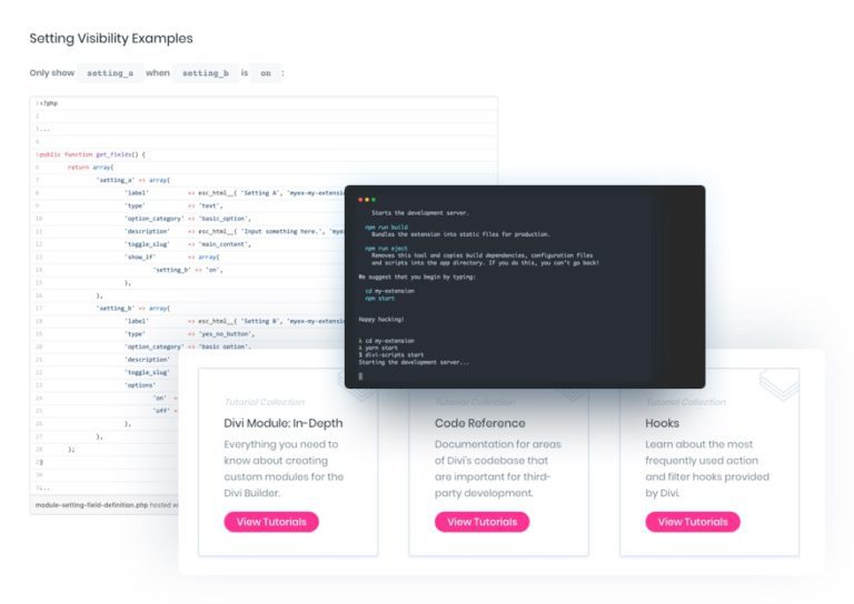 Divi 3.1 Has Arrived! Introducing The New Divi Developer API