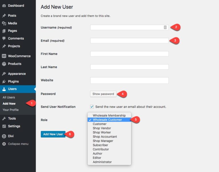 How to Add Wholesale Options to Your Divi & WooCommerce Powered Shop